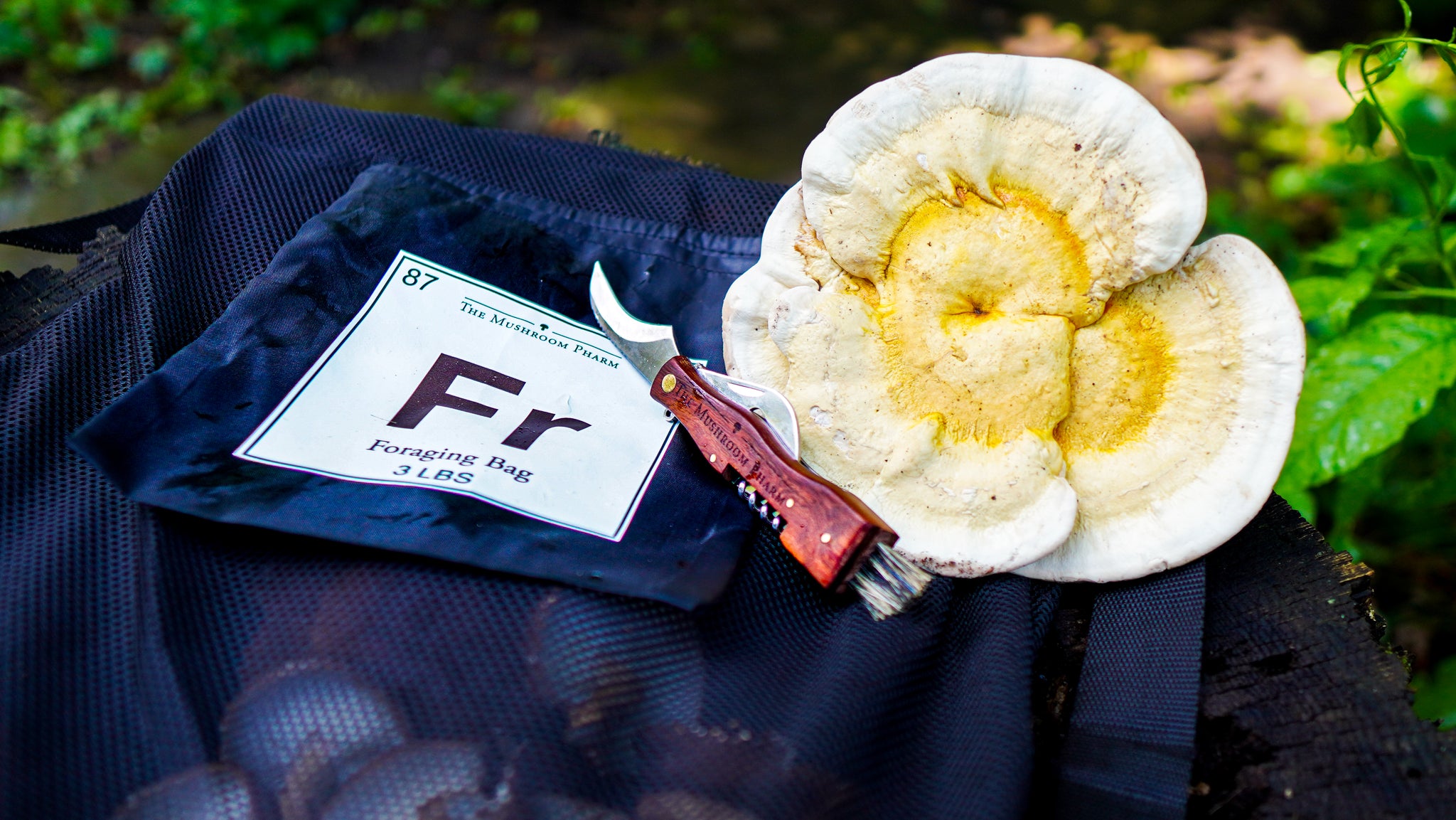 Mushroom Foraging Kit – Im a Fungi Mushroom Pharm