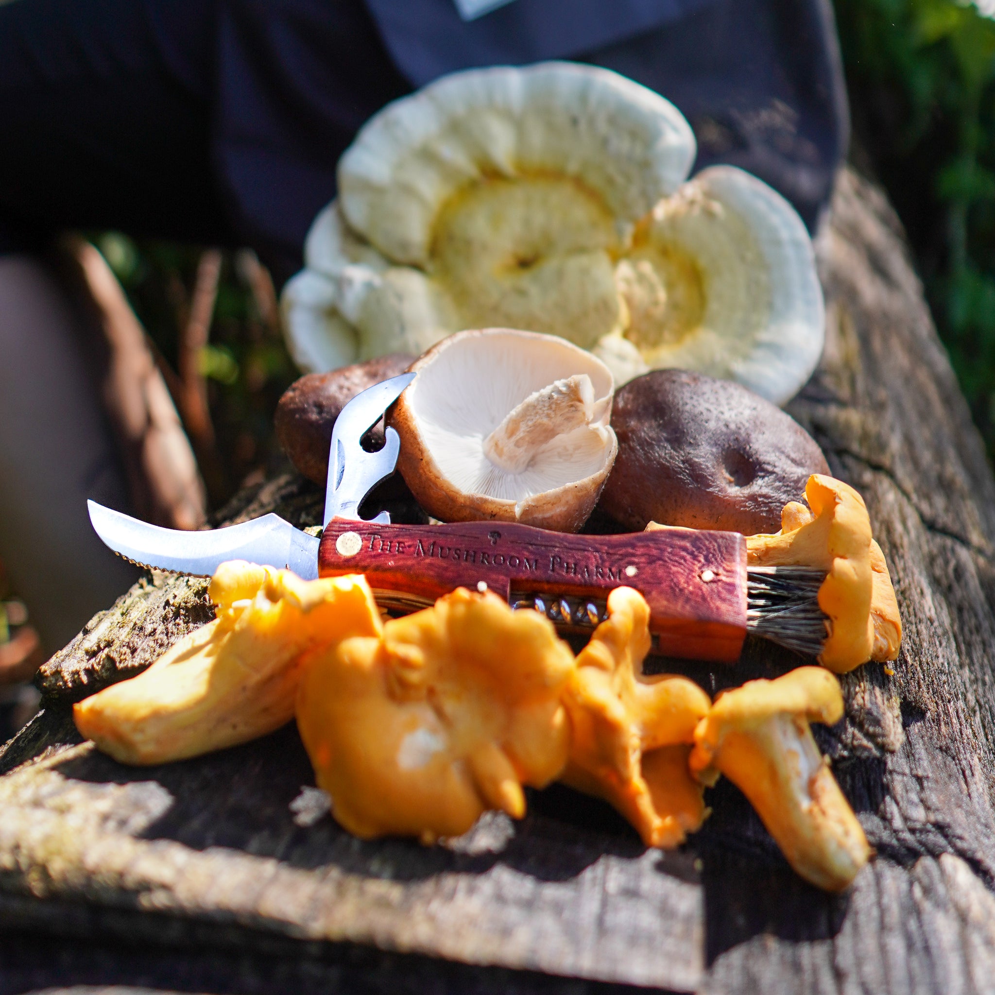 Mushroom Foraging Kit Pro Deluxe – The Mushroom Pharm